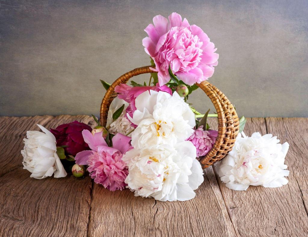 Petals and Personality: What Your Favorite Flower Says About You ...